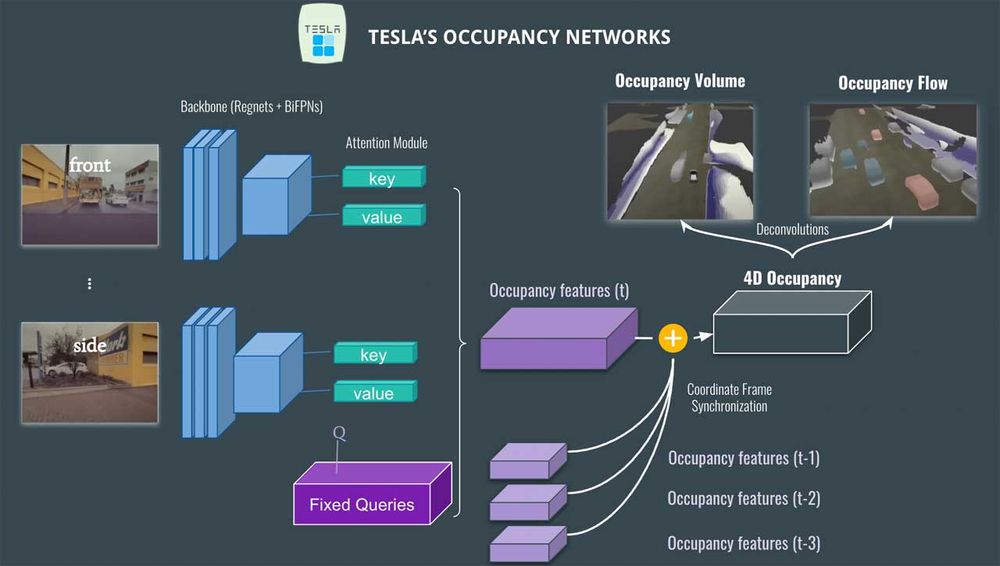 A Look at Tesla's Occupancy Networks