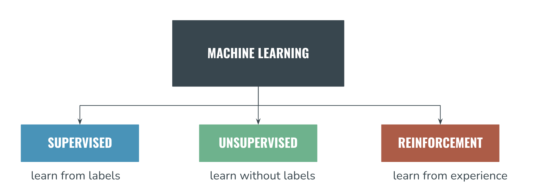 19 Machine Learning Types you need to know (Advanced Mindmap)